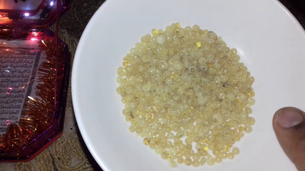 تجربتي المستكة اليوناني لجرثومة المعدة – حلم العرب